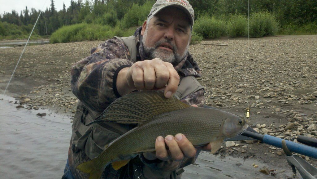 Arctic Grayling Fishing Fairbanks - Alaska Wilderness Enterprises